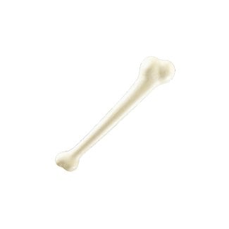 Jumbo Bone (C12) – Ronjo's Magic and Costumes